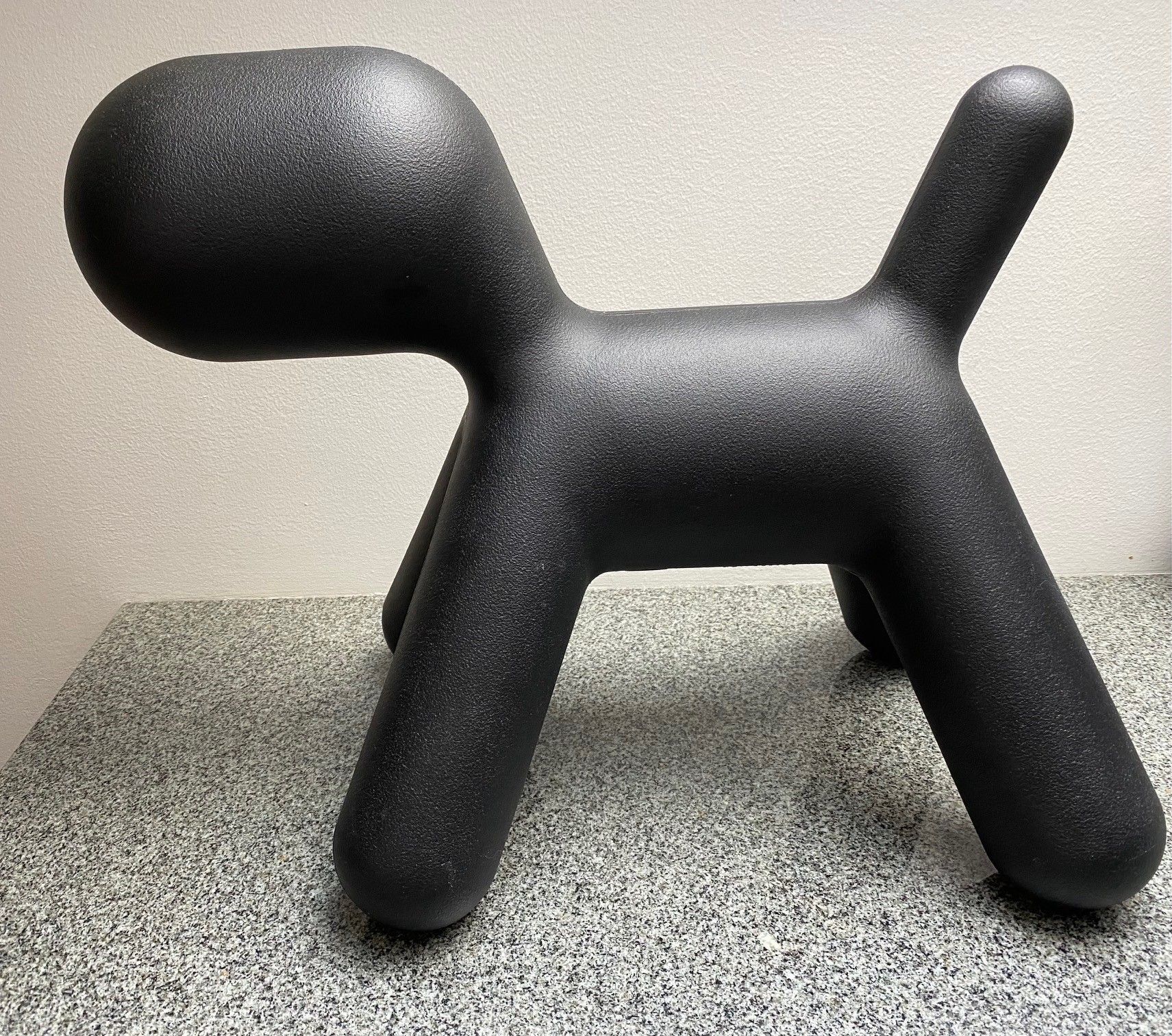 Puppy, M, black | Franckly