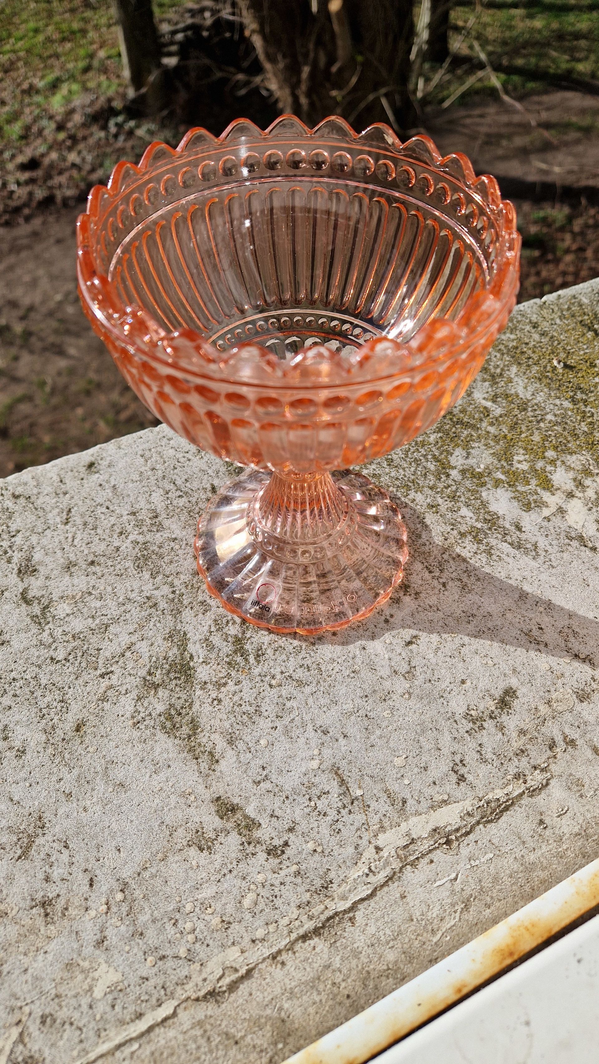 Mariskooli malja, 155 mm, pinkki | Franckly