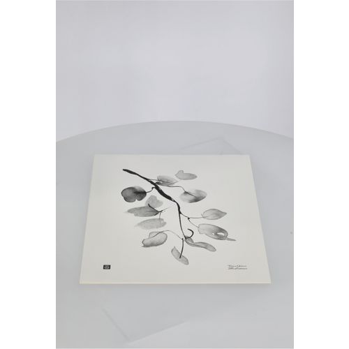 Birch Branch poster, 30 x 50 cm | Franckly