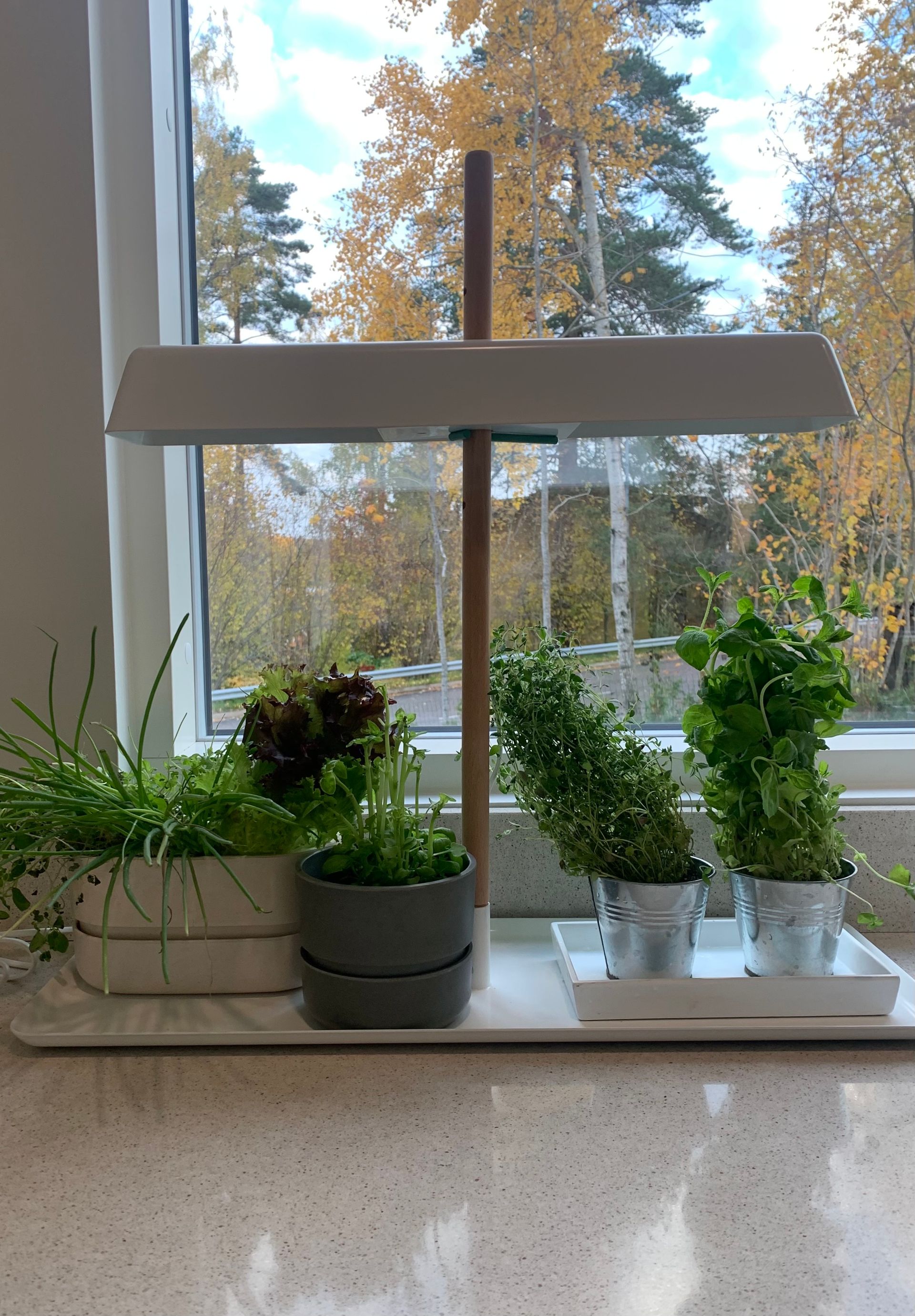 Kekkilä Vihervalo | Franckly