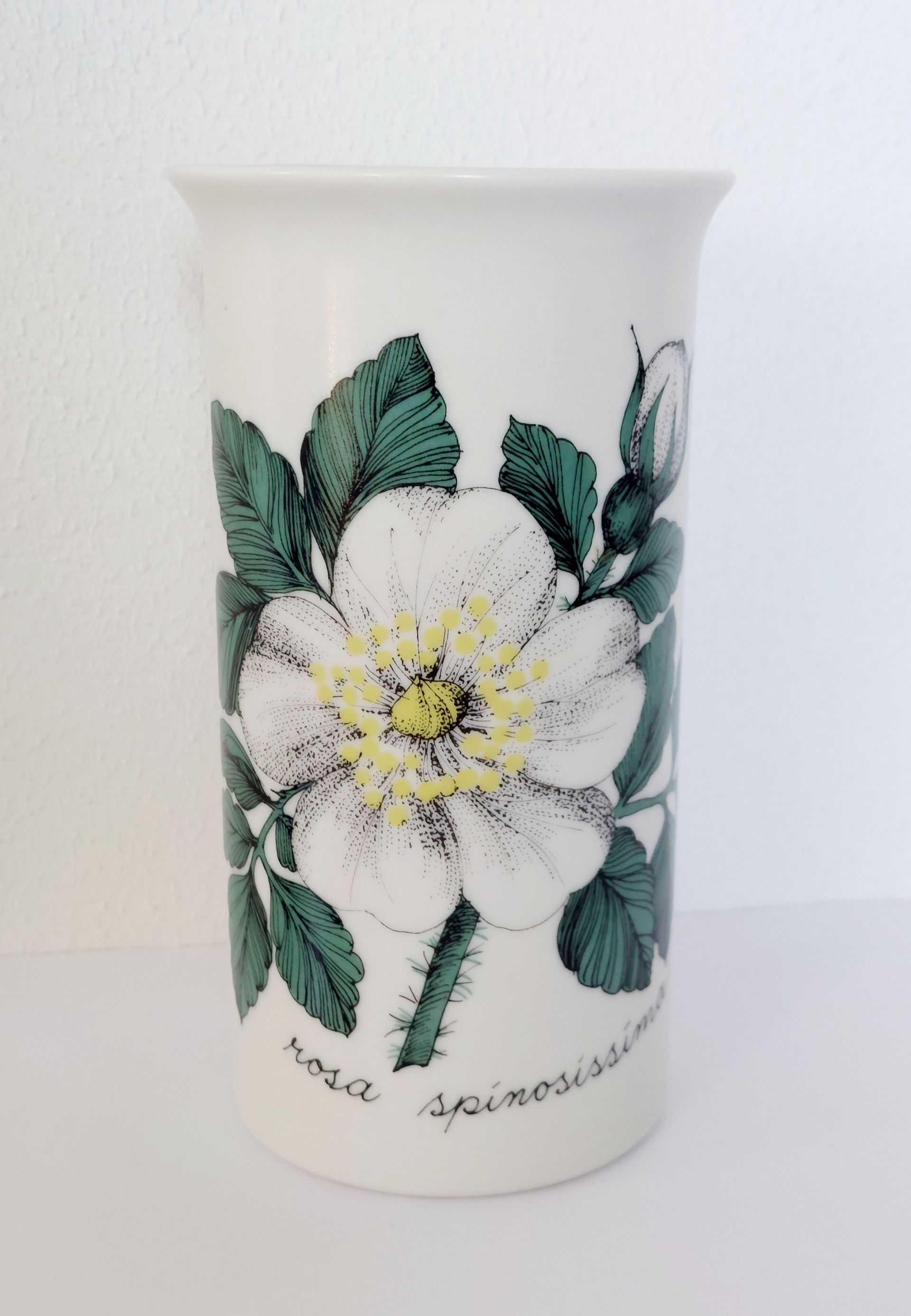 Botanica vase | Franckly