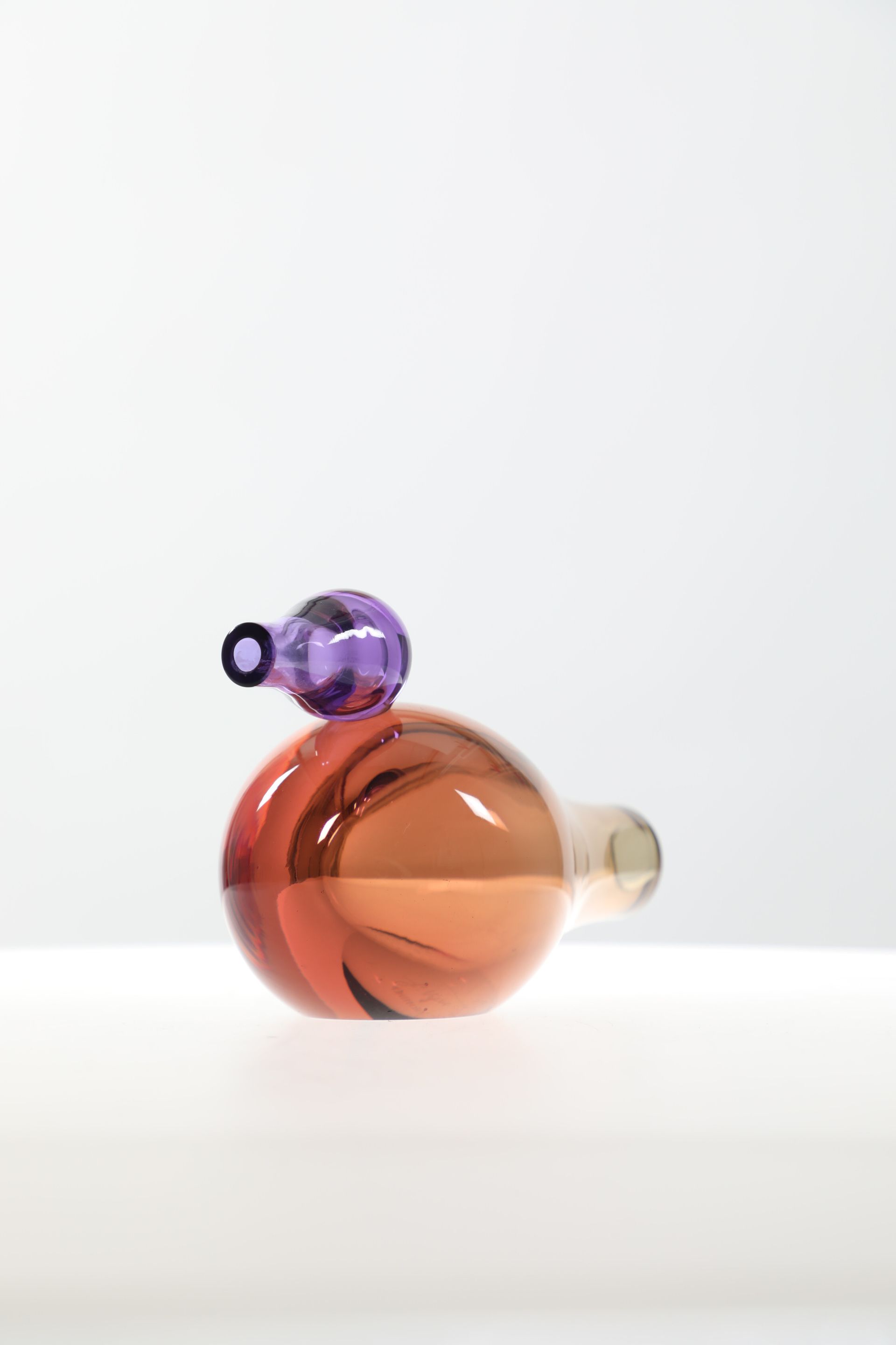 Birds by Vigna Colori | Franckly