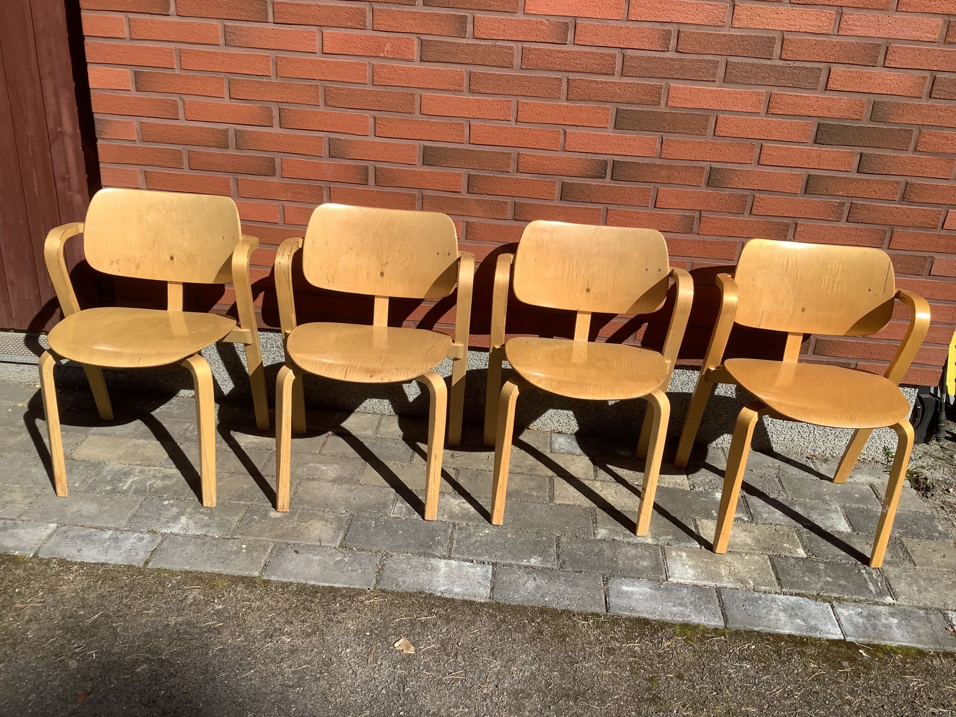 Aslak tuoli, koivu | Franckly